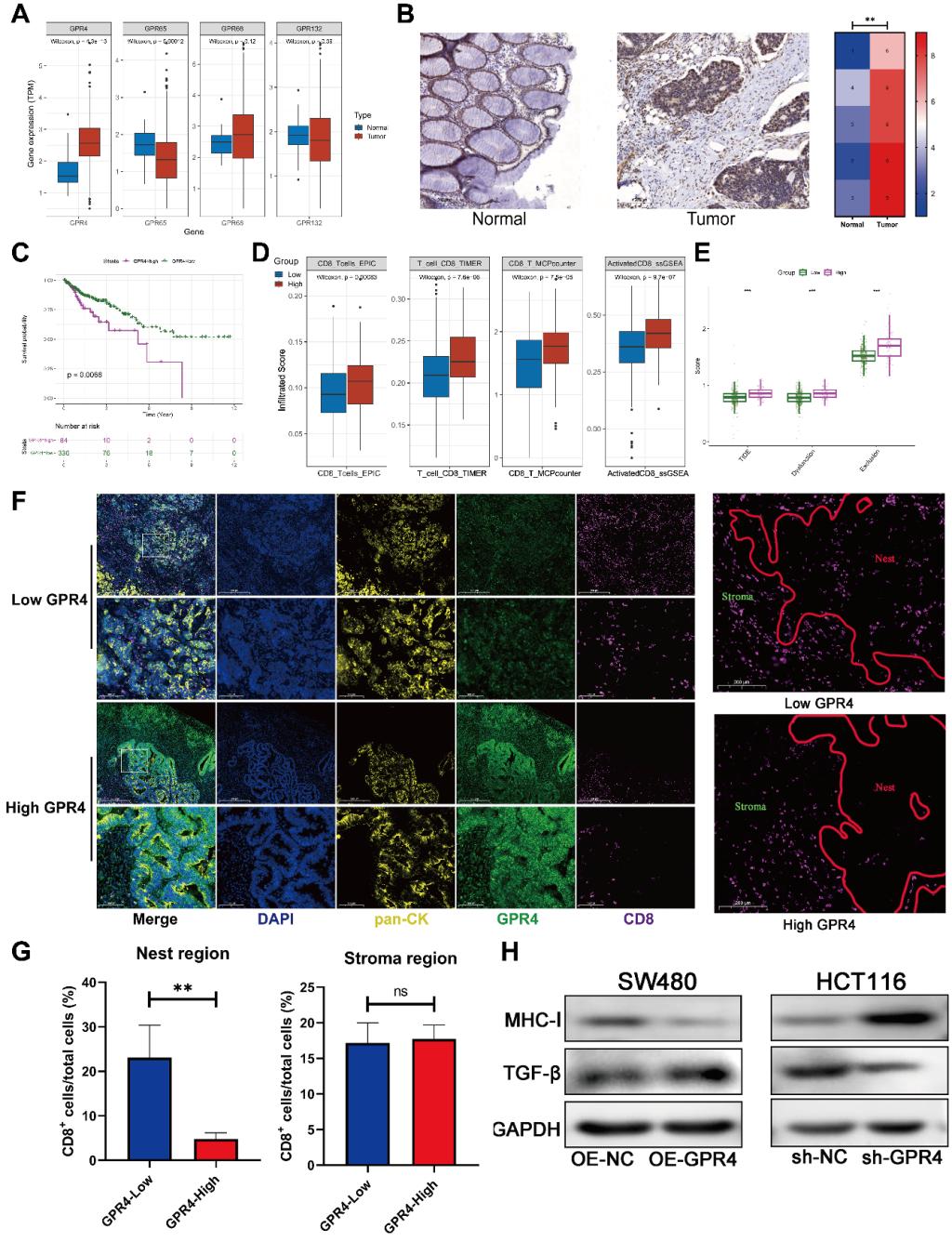 一附院任娟教授团队在Nature子刊发表研究成果-西安交通大学教师主页中文综合门户