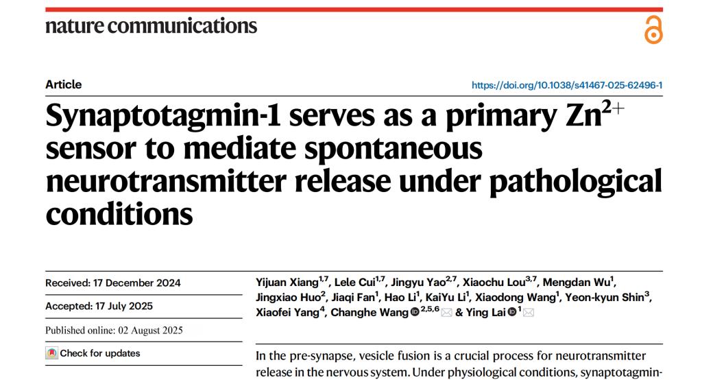 【科技自立自强】 西安交大科研团队联合四川大学赖颖教授团队揭示Zn2+调控神经递质释放的病理新机制-西安交通大学教师主页中文综合门户